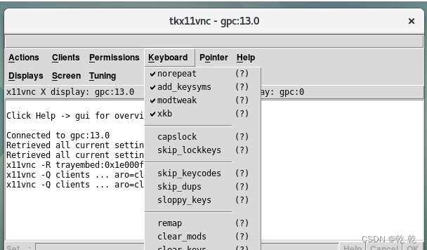 ubuntu 2020.4 安装vnc_ubuntu 20.04 x11vnc server 自启动-CSDN博客