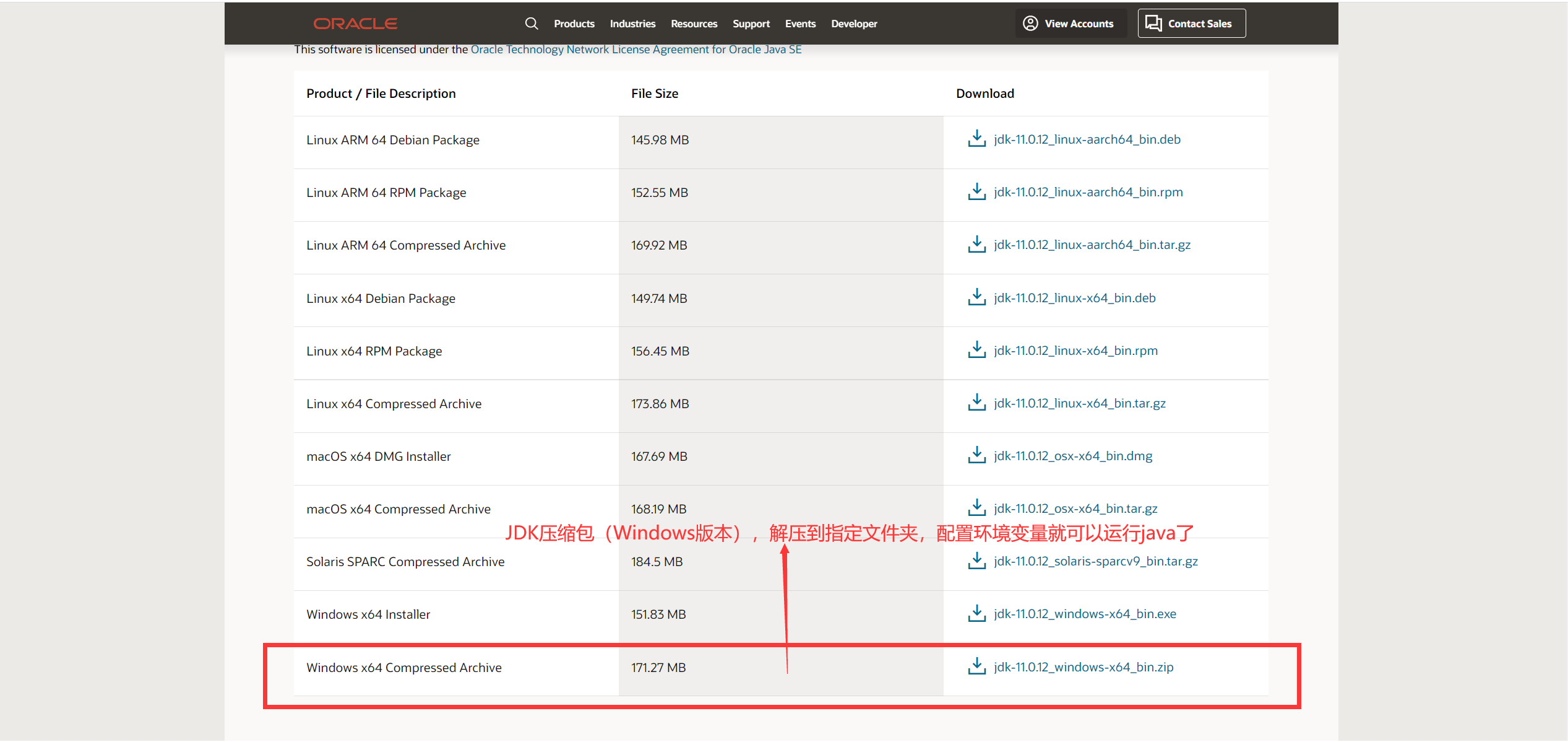 java安装与环境配置（压缩包方式）_jdk11加压版配置-CSDN博客