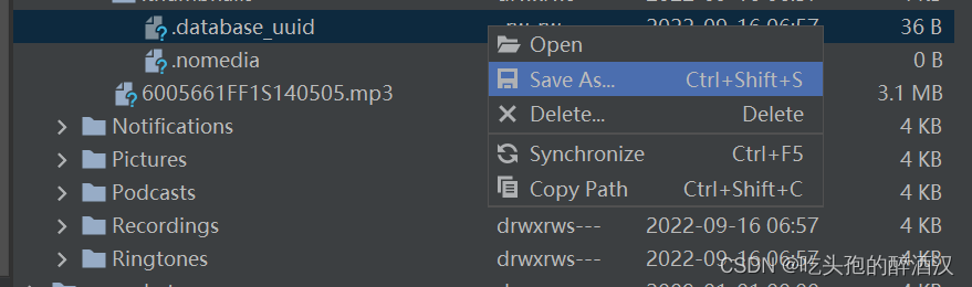 Android Studio完成设备文件浏览器和adb基本操作_android studio查看手机文件-CSDN博客