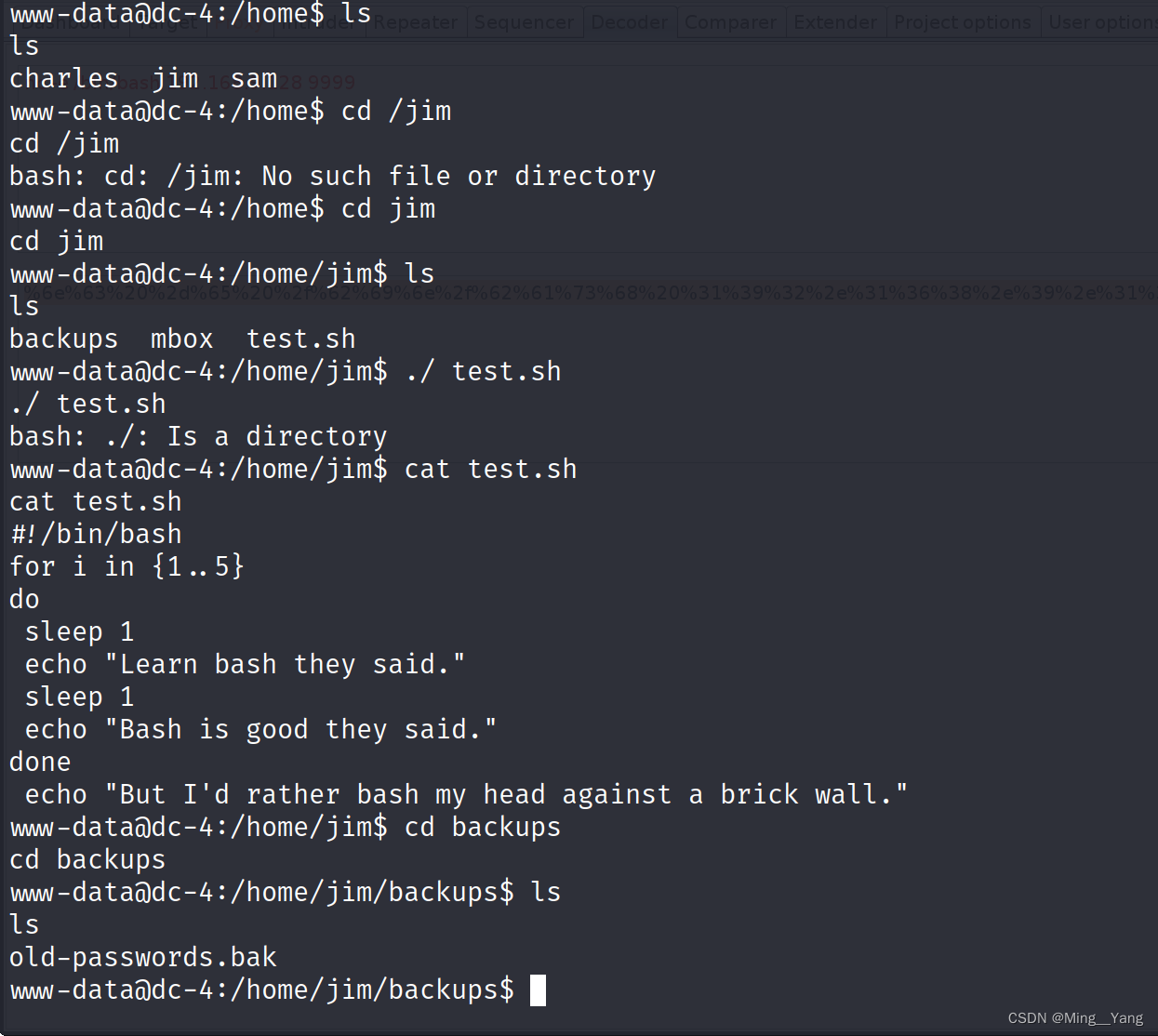 靶机DC-4—WP_dc-4靶机-CSDN博客