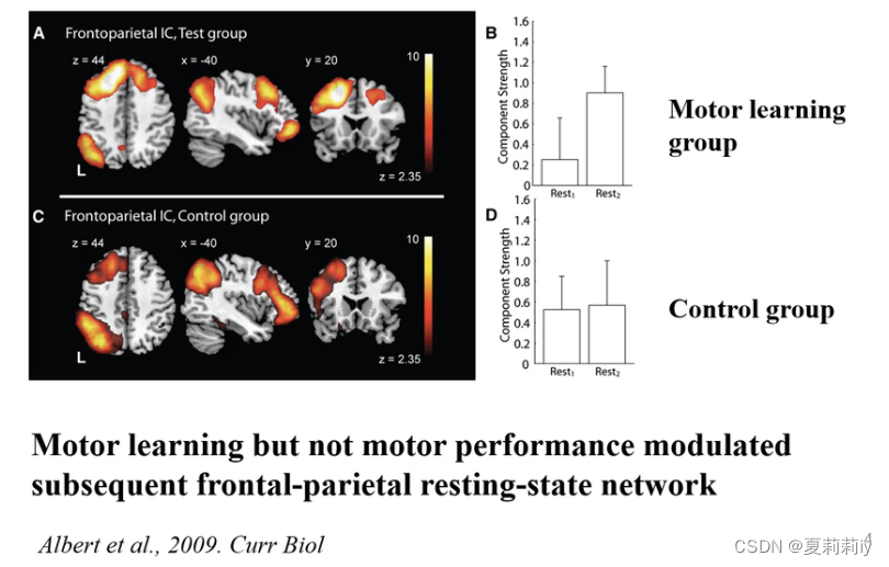 静息态功能磁共振成像(rs-fMRI)原理与数据分析学习笔记（2）：Applications of Resting fMRI-CSDN博客