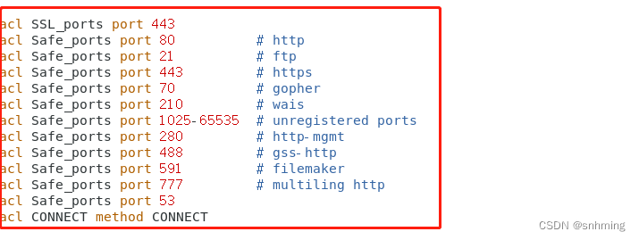 Linux配置squid服务代理实现解析dnc（国赛linux服务器）squid Dns Csdn博客