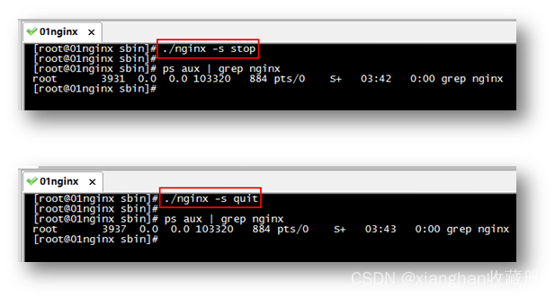 02 Nginx安装与常用命令nginx V Csdn博客 