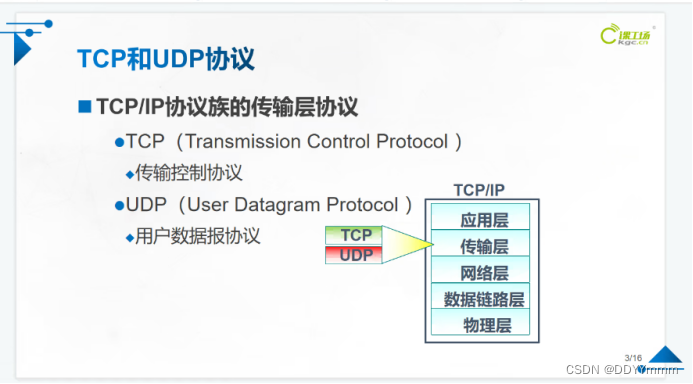 传输层协议介绍 Csdn博客