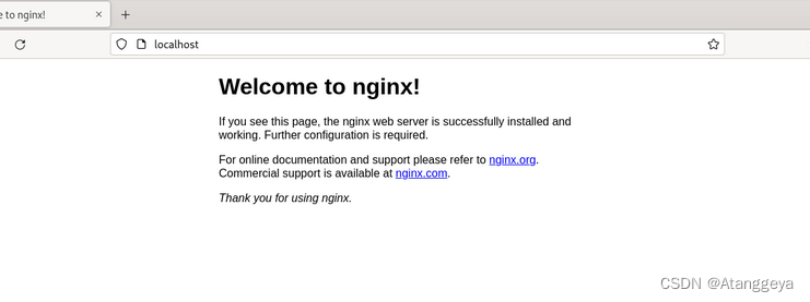 手把手教你安装nginx_ngnix的软件运行依赖-CSDN博客