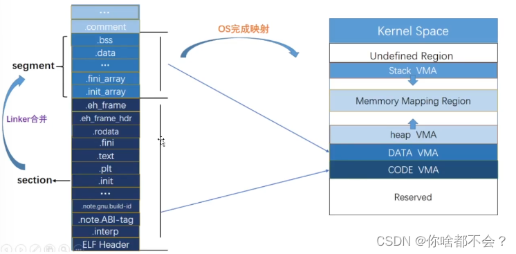 Elf文件结构 Csdn博客