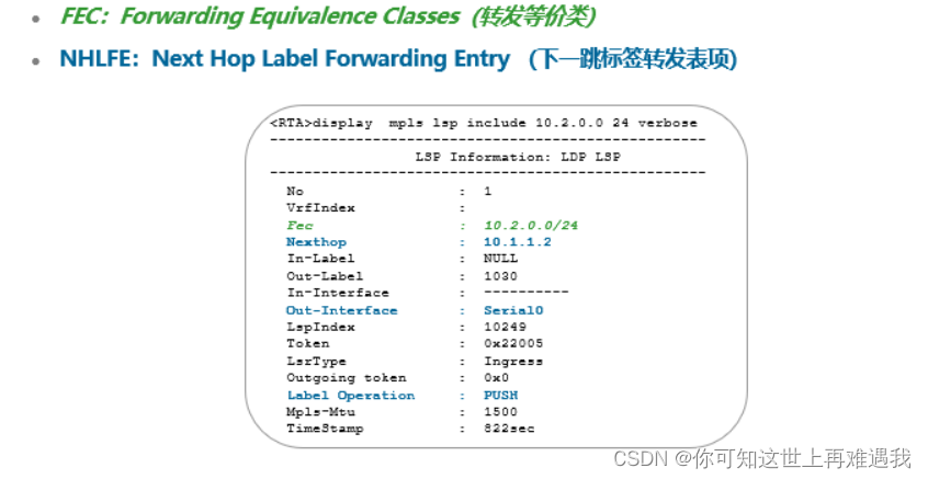 华为HCIA进阶笔记：MPLS 基本原理_华为mpls-CSDN博客