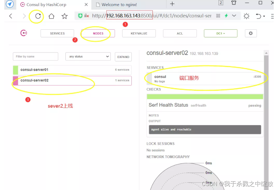 Docker consul集群-CSDN博客