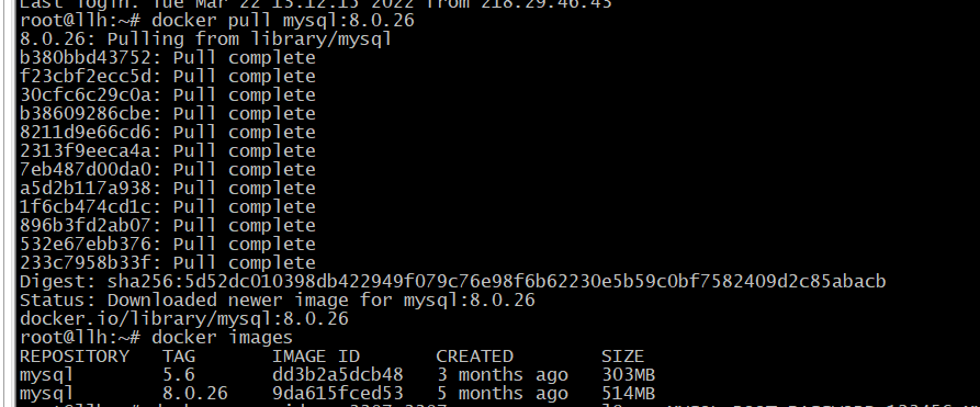 Docker之部署MySQL v8.0.26_mysql8.0.26 docker-compose部署-CSDN博客