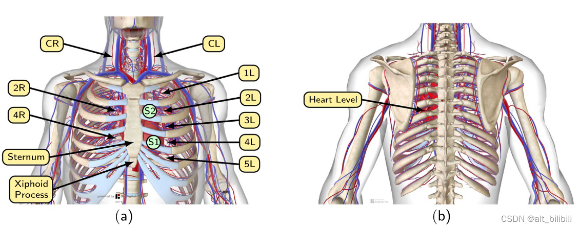 ECG数据集论文阅读1_心音数据集-CSDN博客