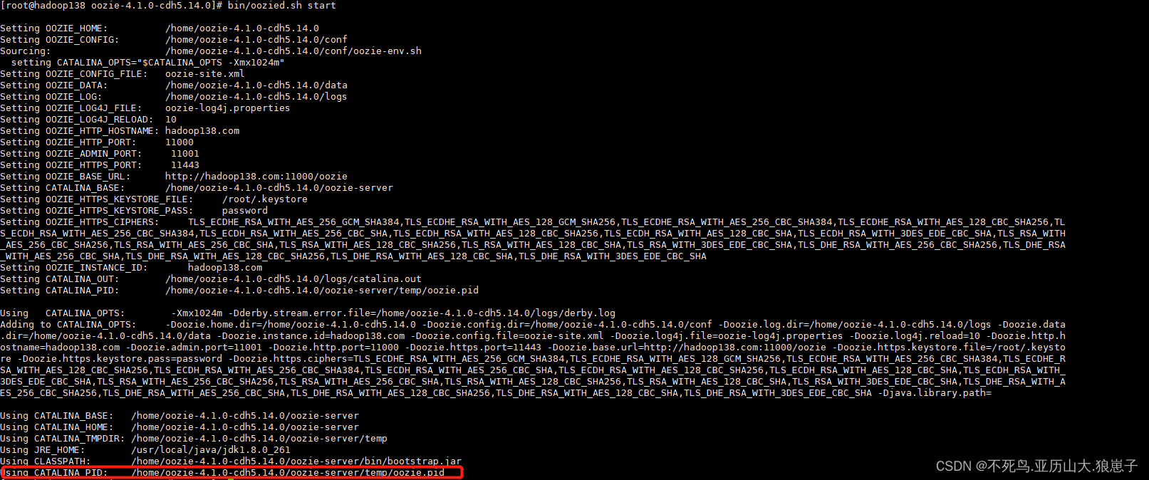 Apache Oozie（2）：Apache Oozie安装_apache hadoop安装oozie-CSDN博客