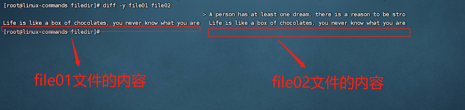 【Linux命令】 cmp & diff_linux cmp-CSDN博客