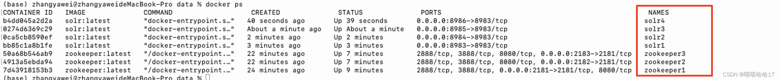 docker配置solr集群_docker单机部署solr集群-CSDN博客