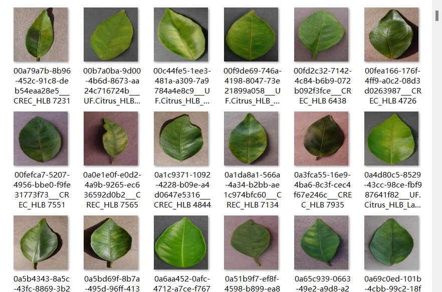 【pytorch】resNet152迁移学习实现植物病害图像识别分类_植物疾病识别项目代码-CSDN博客