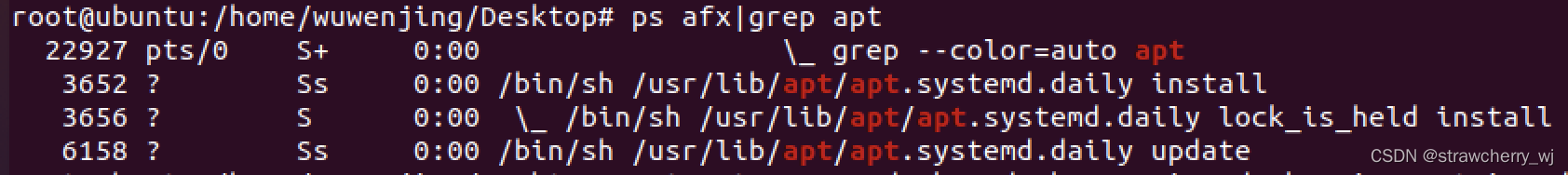 【分布式训练】基于docker容器的pytorch多机分布式训练docker Compose 中运行分布式训练脚本 Csdn博客 