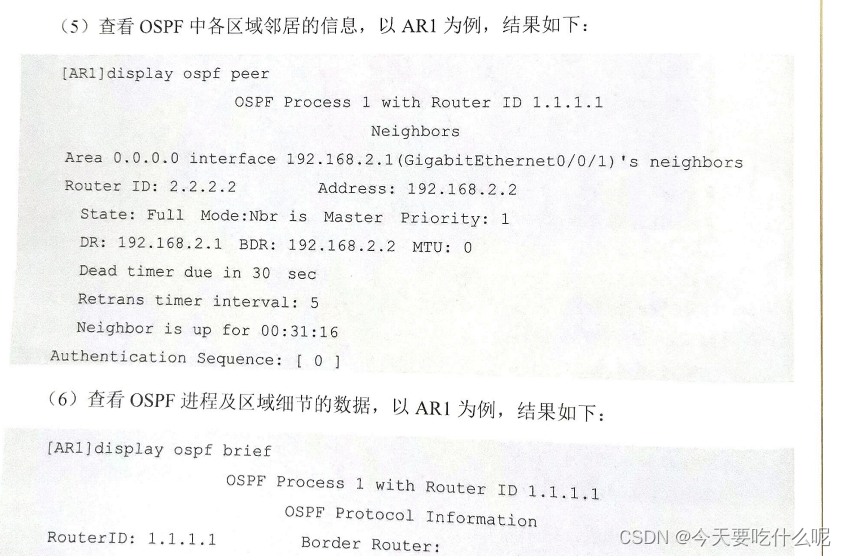 内部网关协议osrf-CSDN博客