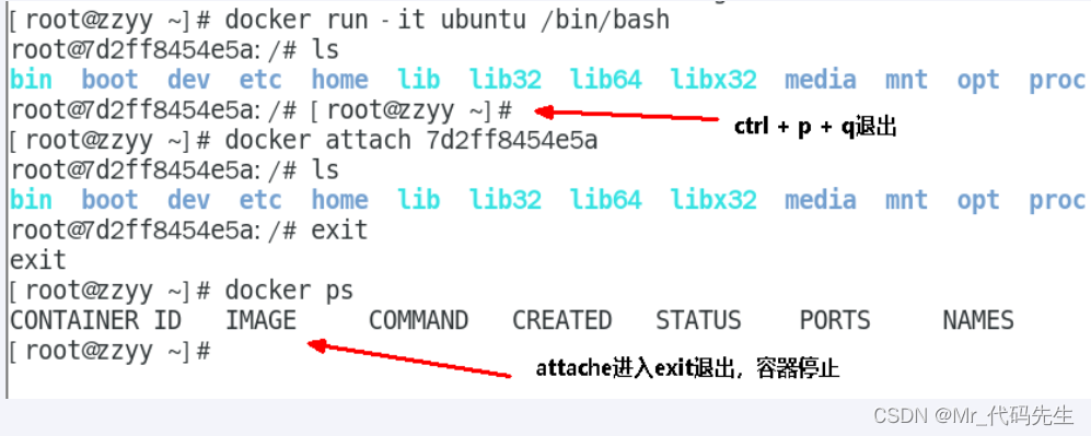 docker - (一)基础篇之docker简介、安装、容器命令_docker rm -rf repo-CSDN博客