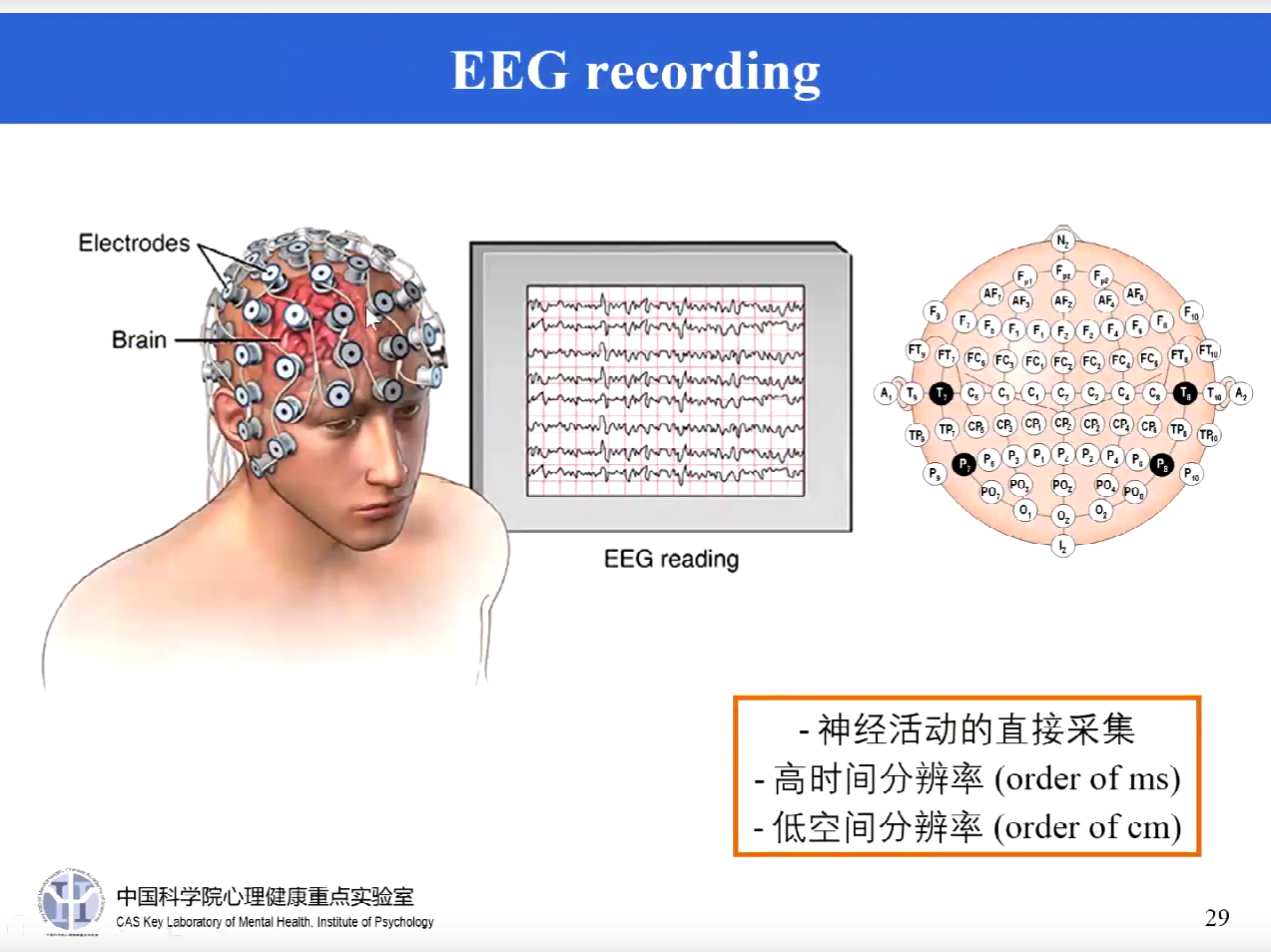 脑电数据分析方法与应用实例简介-EEG Processing and Feature 1-CSDN博客