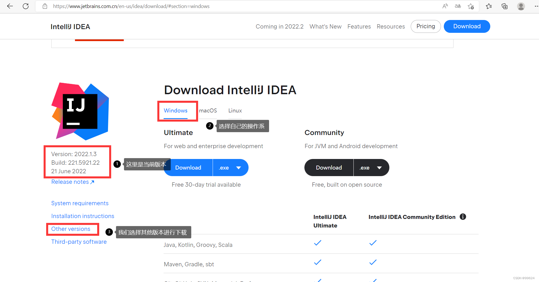 Intellij IDEA2021.3.3_idea2021.3.3下载-CSDN博客