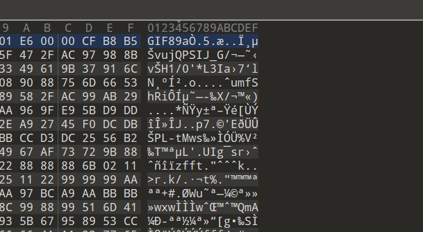 CTFshow MISC 杂项签到~misc4_ctfshow misc4-CSDN博客