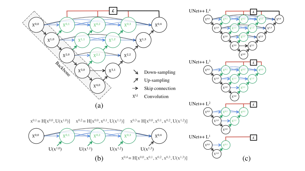 基于深度学习的医学图像分割（三）UNet++: A Nested U-Net Architecture for Medical Image ...