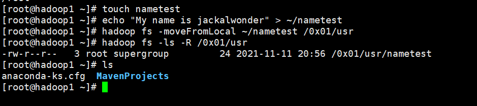 HDFS教程及命令实例_hdfs里包含哪些实例-CSDN博客