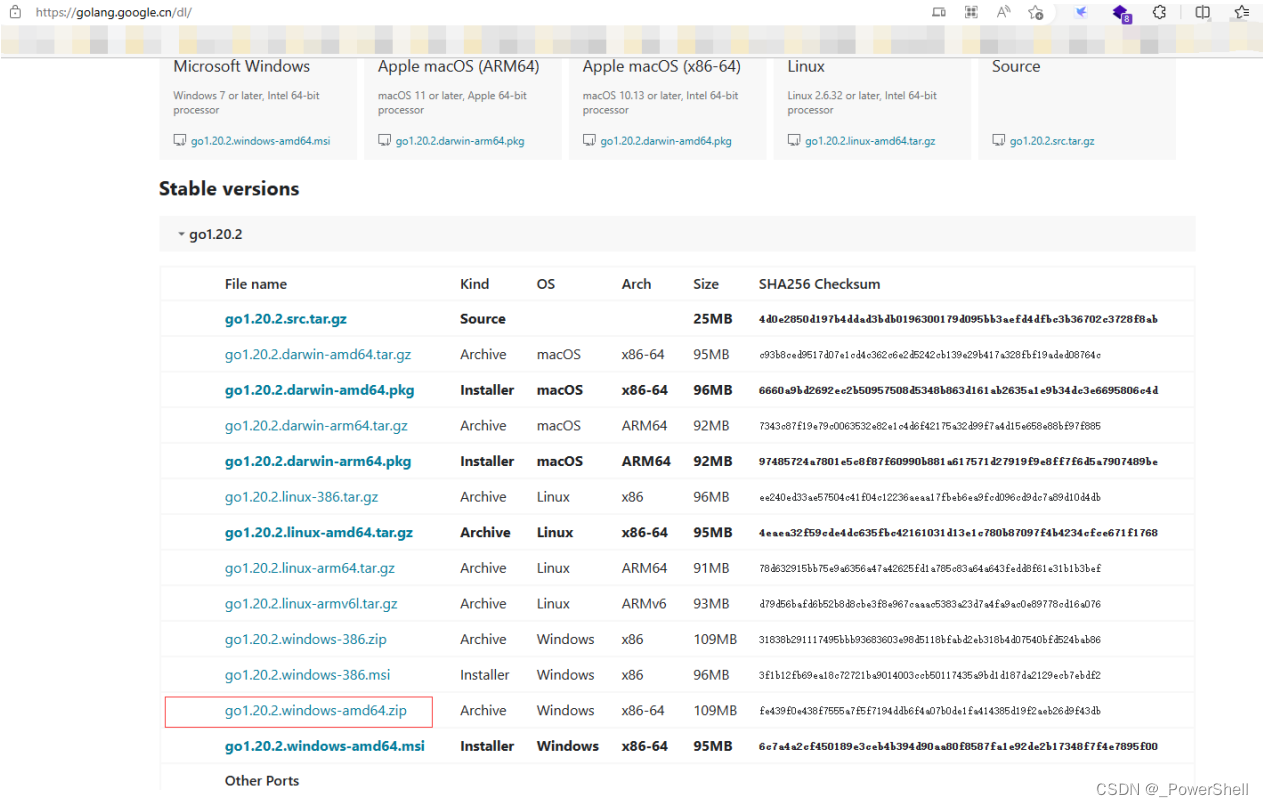 [ 环境搭建篇 ] Windows 安装 go 环境并配置环境变量(附go.1.20.2安装包)_go环境变量配置 windows-CSDN博客