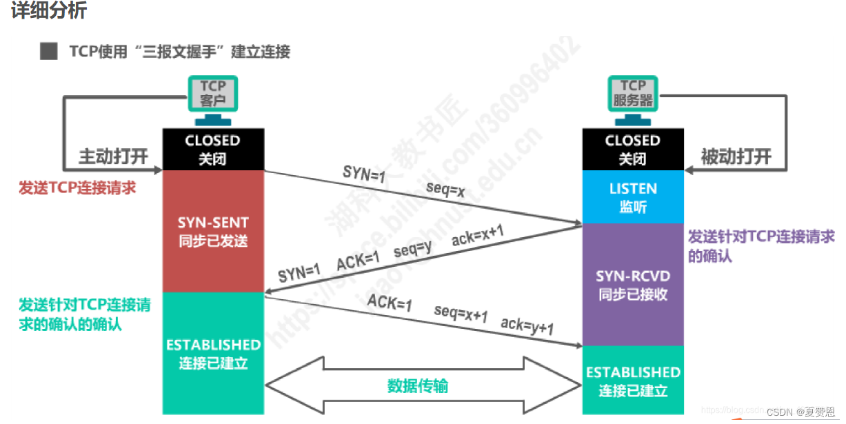 计算机网络常考协议(HTTP&HTTPs、TCP/UDP、DNS)_常见的网络协议和流量包-CSDN博客