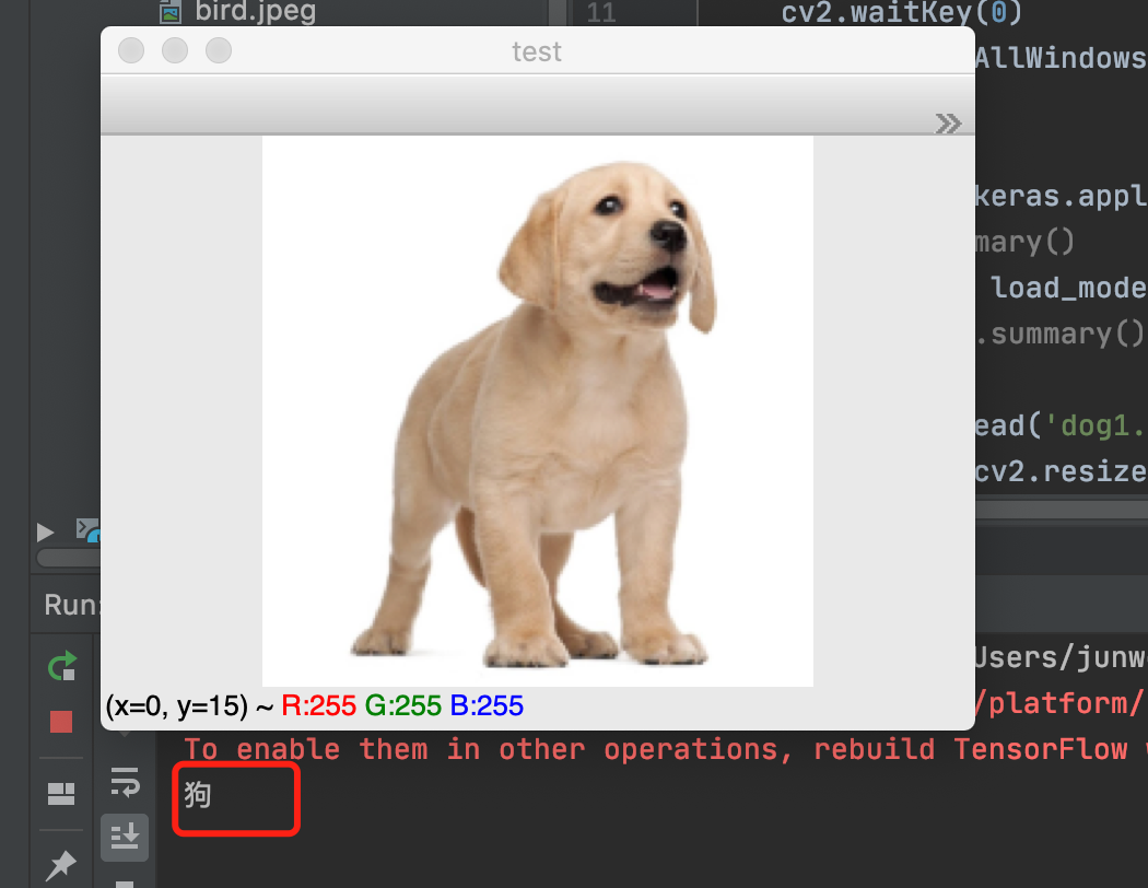 Keras深度学习使用Xception预训练神经网络实现猫狗分类，测试集准确率高达0.99_xceptionnet预训练模型-CSDN博客
