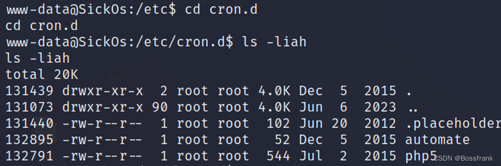 红队打靶：SickOS1.1详细打靶思路之shellshock漏洞利用（vulnhub）-CSDN博客