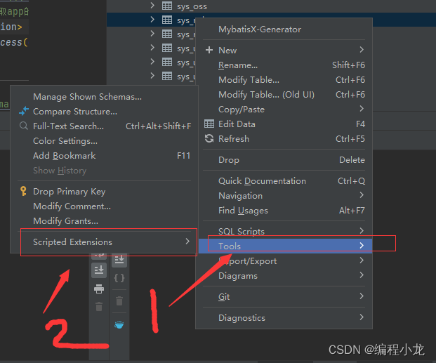 idea2022没有Scripted Extensions选项-CSDN博客
