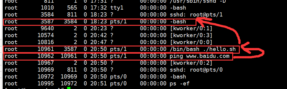 Linux学习笔记——Shell编程概述_tclsh与tcshell的区别-CSDN博客