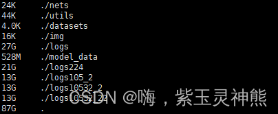 OSError: [Errno 28] No space left on device以及查看系统分区情况-CSDN博客