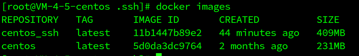 docker创建带有ssh的centos镜像_dockerfile centos ssh登录镜像-CSDN博客