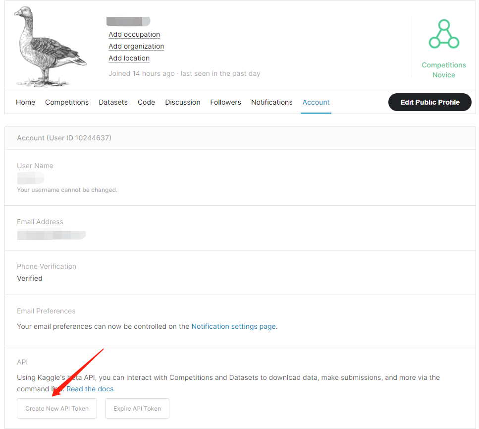 Ubuntu从Kaggle上下载数据集出现403 - Forbidden_kaggle 403 - forbidden-CSDN博客