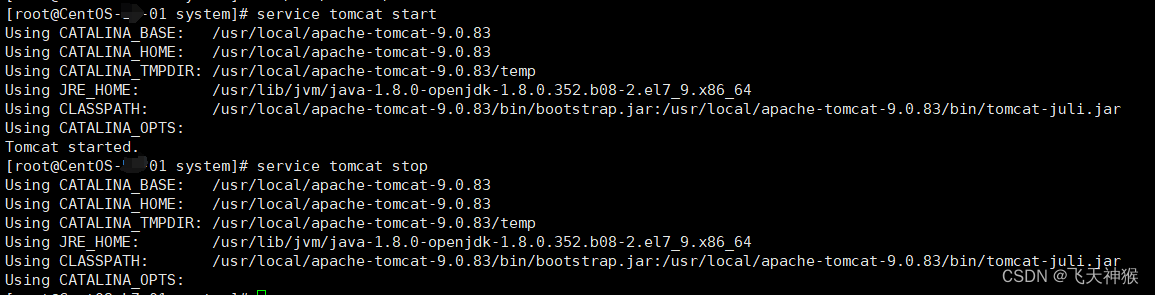 Linux系统安装Tomcat_linux安装tomcat的命令-CSDN博客