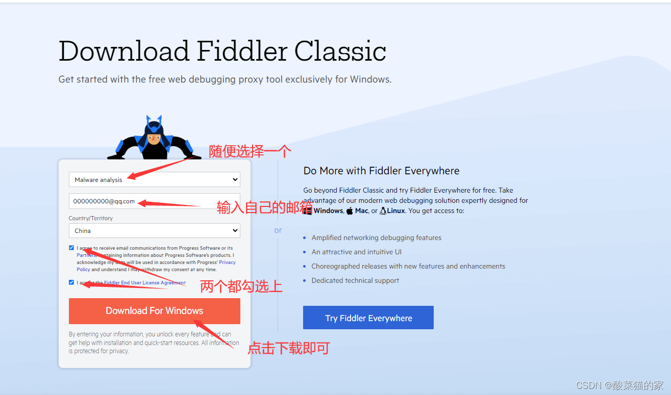 fiddler 下载安装教程_fiddler下载安装教程-CSDN博客