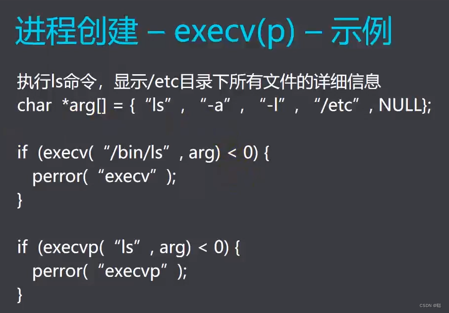 进程与exec函数族 Csdn博客 