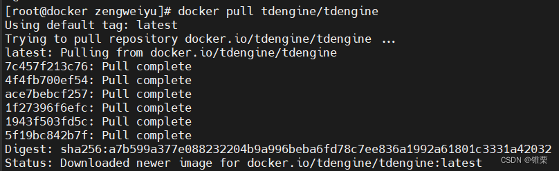 【监控】Hertzbeat在docker的安装与部署-CSDN博客