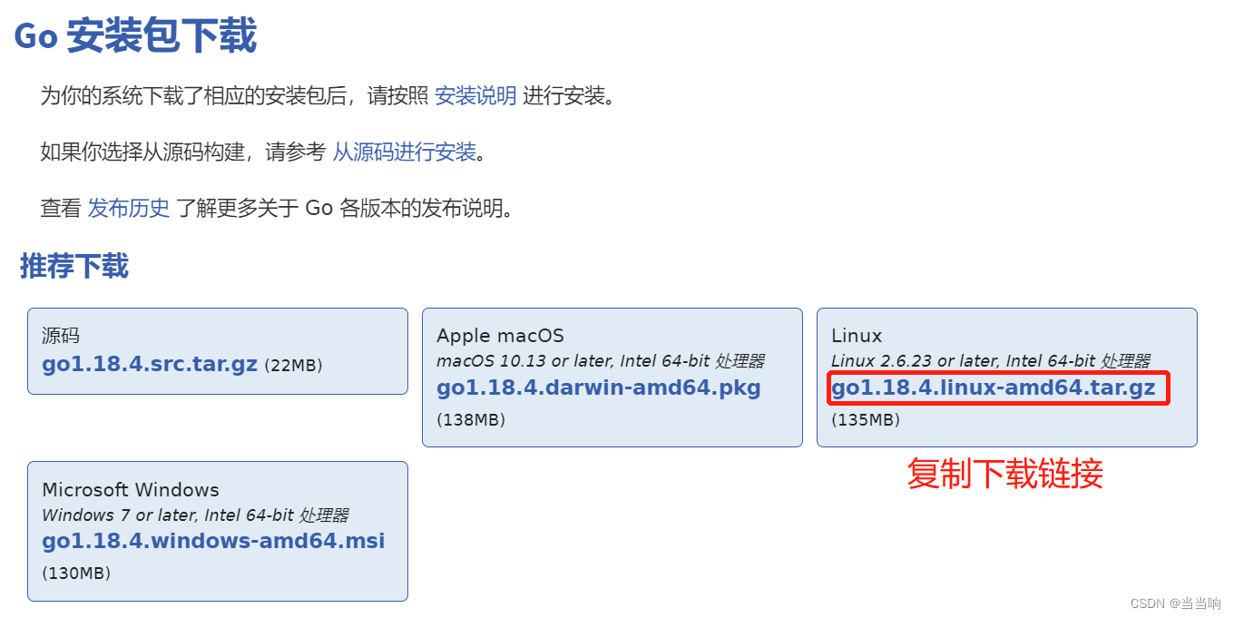 Linux系统下安装Go语言环境_linux查看go版本-CSDN博客