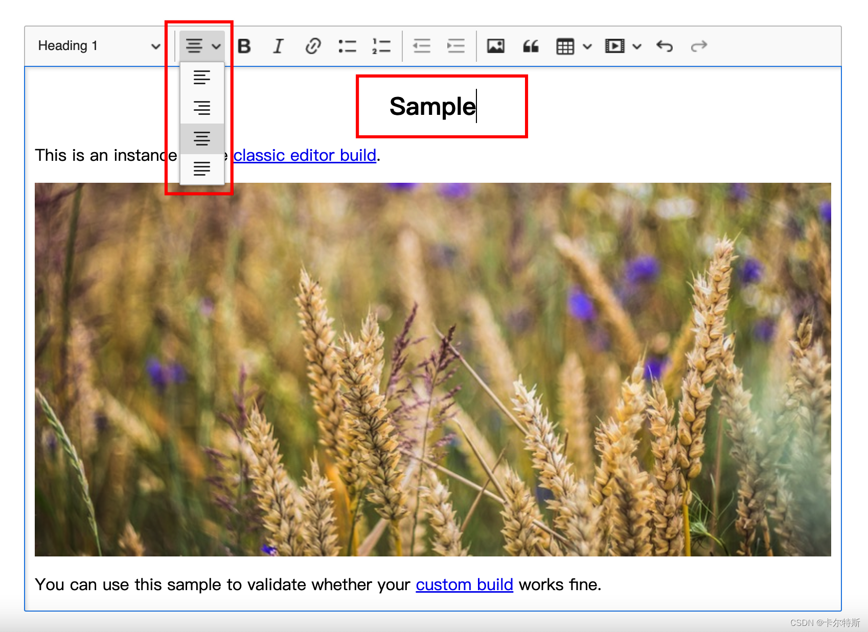 Vue CKEditor5 自定义编辑器详细流程（插件安装使用流程）_vue3 ckeditor5自定义插件封装-CSDN博客