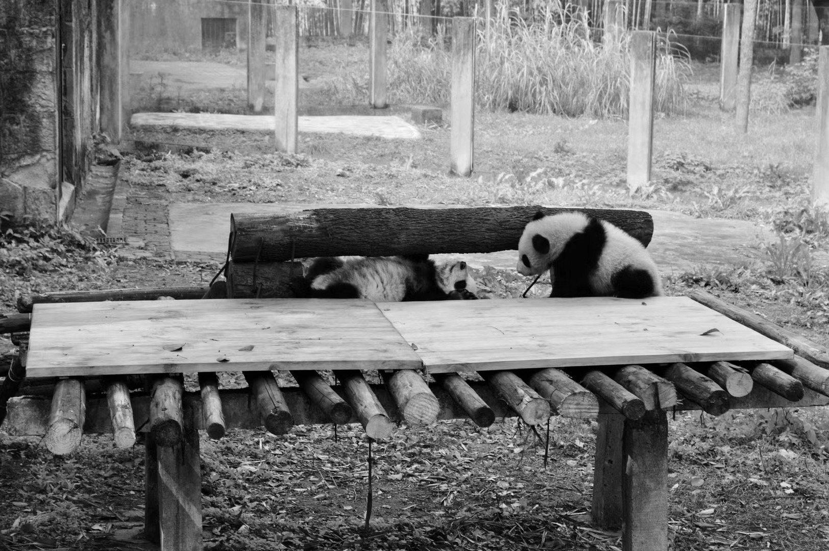 Flutter组件--LocalKey,GlobalKey以及获取子组件-EW帮帮网