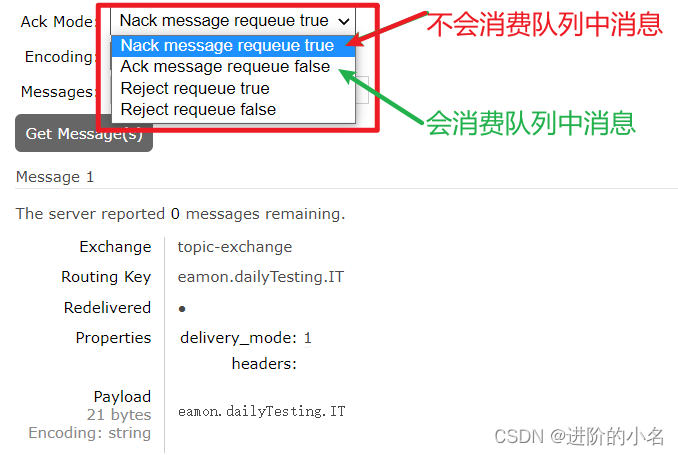 【外行也能看懂的rabbitmq系列(二)】—— Rabbitmq的web管理界面rabbitmqmanagement详解(内含topic模式通配符实操)rabbitmq Web Csdn博客