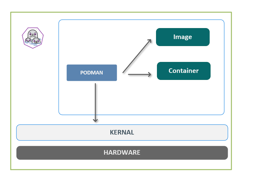 Podman 介绍，安装，基本操作_podman update --restart-CSDN博客