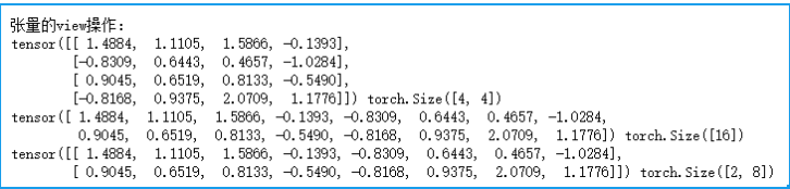 Pytorch 快速入门教程 Csdn博客 