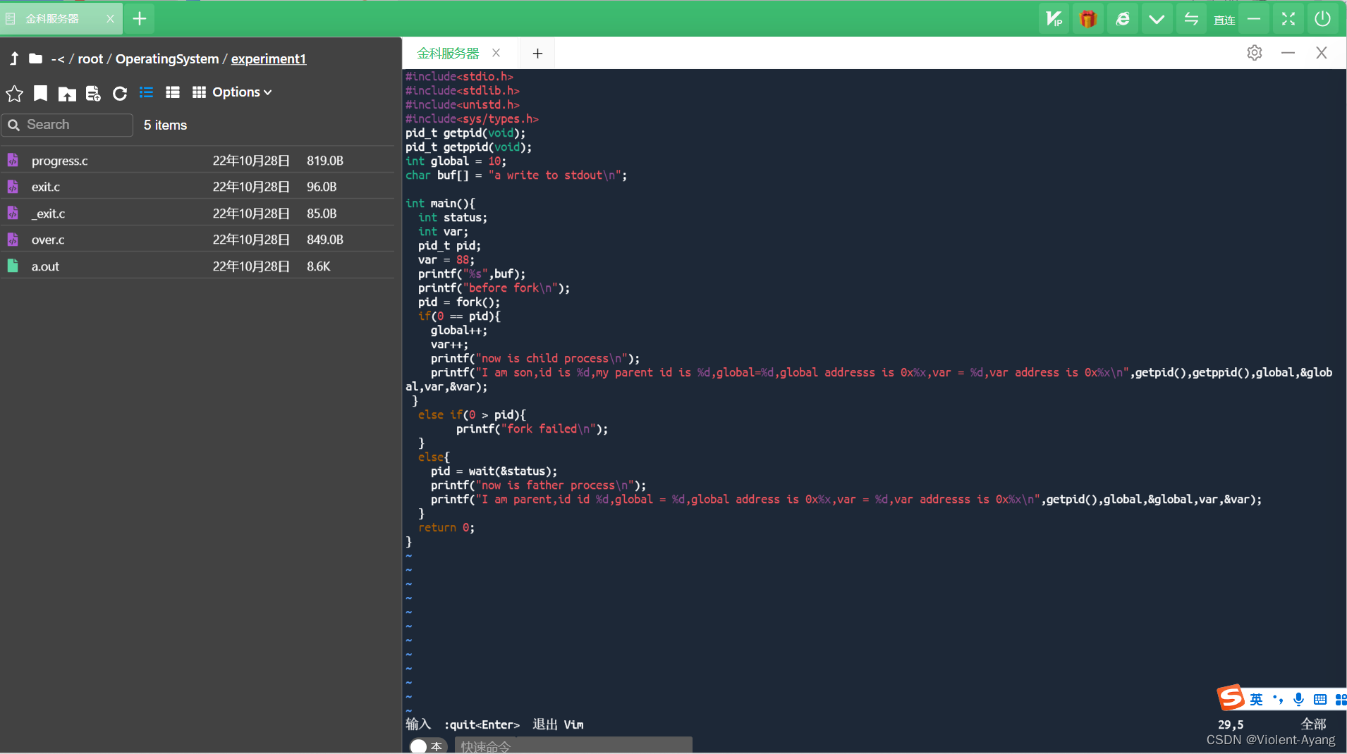 Linux父子进程全局变量与局部变量该实验创建2个进程在父进程中创建一个全局变量一个局部变量并赋予初始值用for Csdn博客