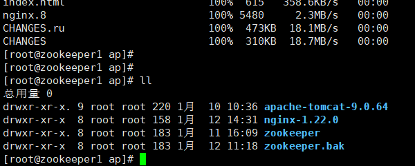 scp文件传输-CSDN博客