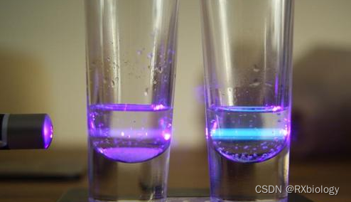 BHQ-1 OH，羟基修饰BHQ-2/3黑洞猝灭荧光染料与BHQ-2 biotin，生物素修饰BHQ-1/3_bhqoh-CSDN博客