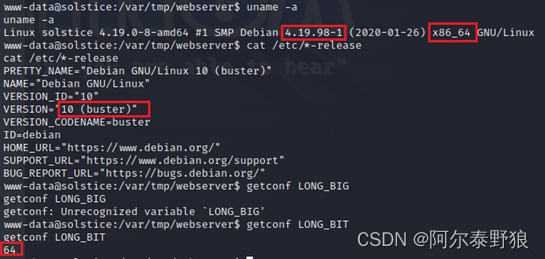 实战打靶集锦-014-solstice_solstice靶标-CSDN博客