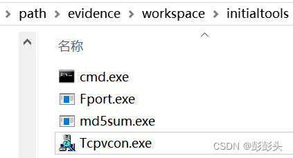 （五）计算机取证-制作初始响应工具包_取证工具psservice-CSDN博客